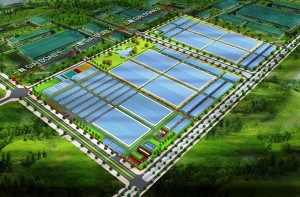 ATAD has won the phase 2 of the Brotex color-yarn factory